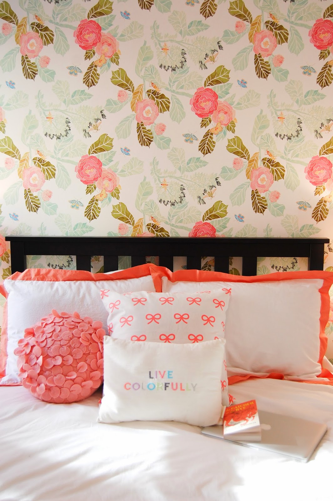 CARLY Caitlin Wilson Pillows