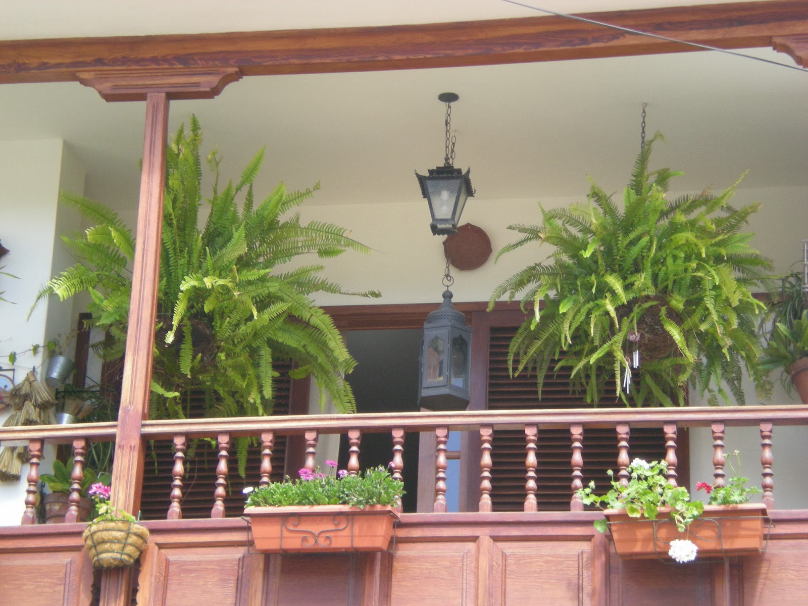 Crear más verde: Balcones ajardinados