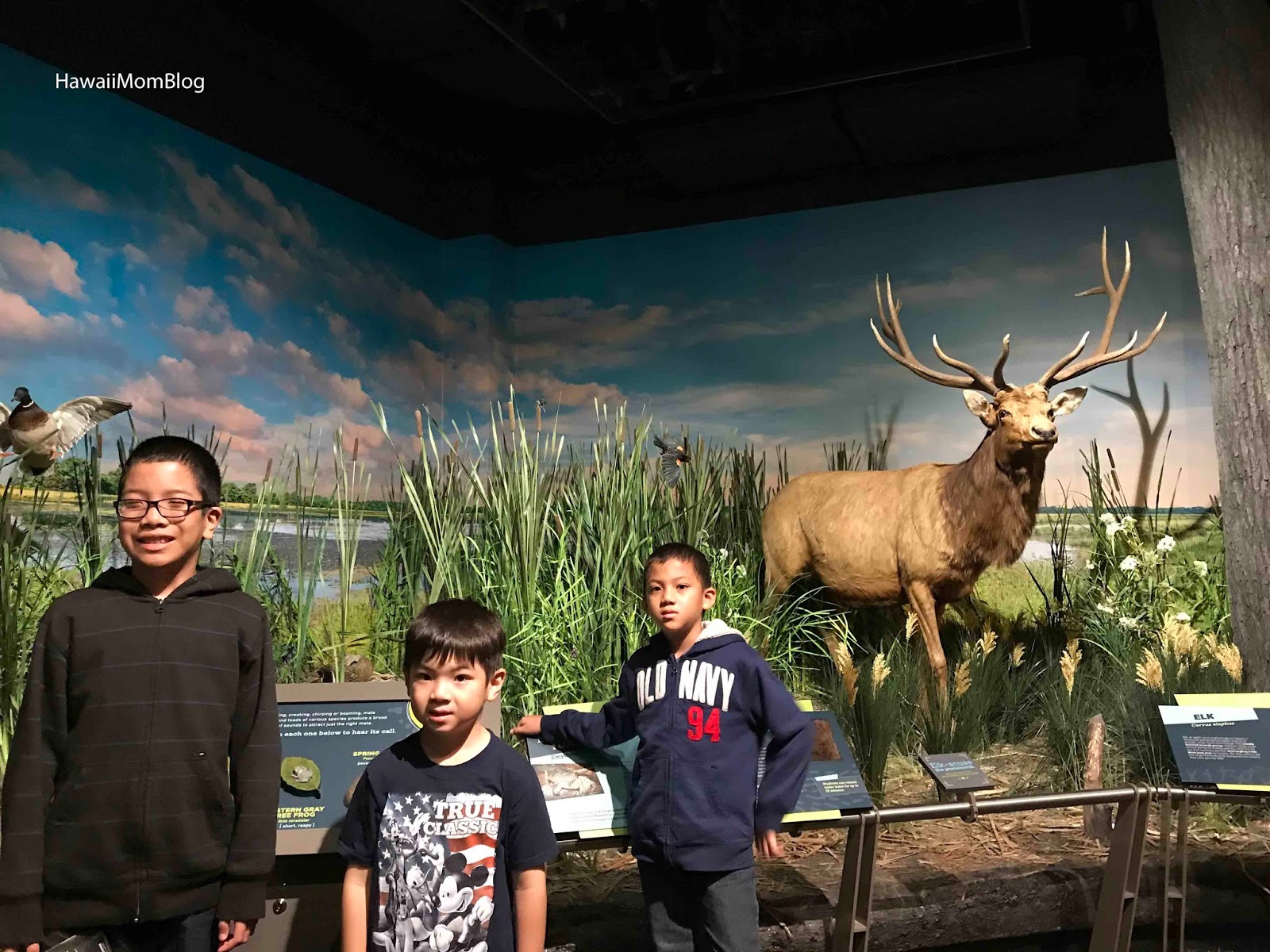 Hawaii Mom Blog: Visit Indiana: Indiana State Museum and Historic Sites