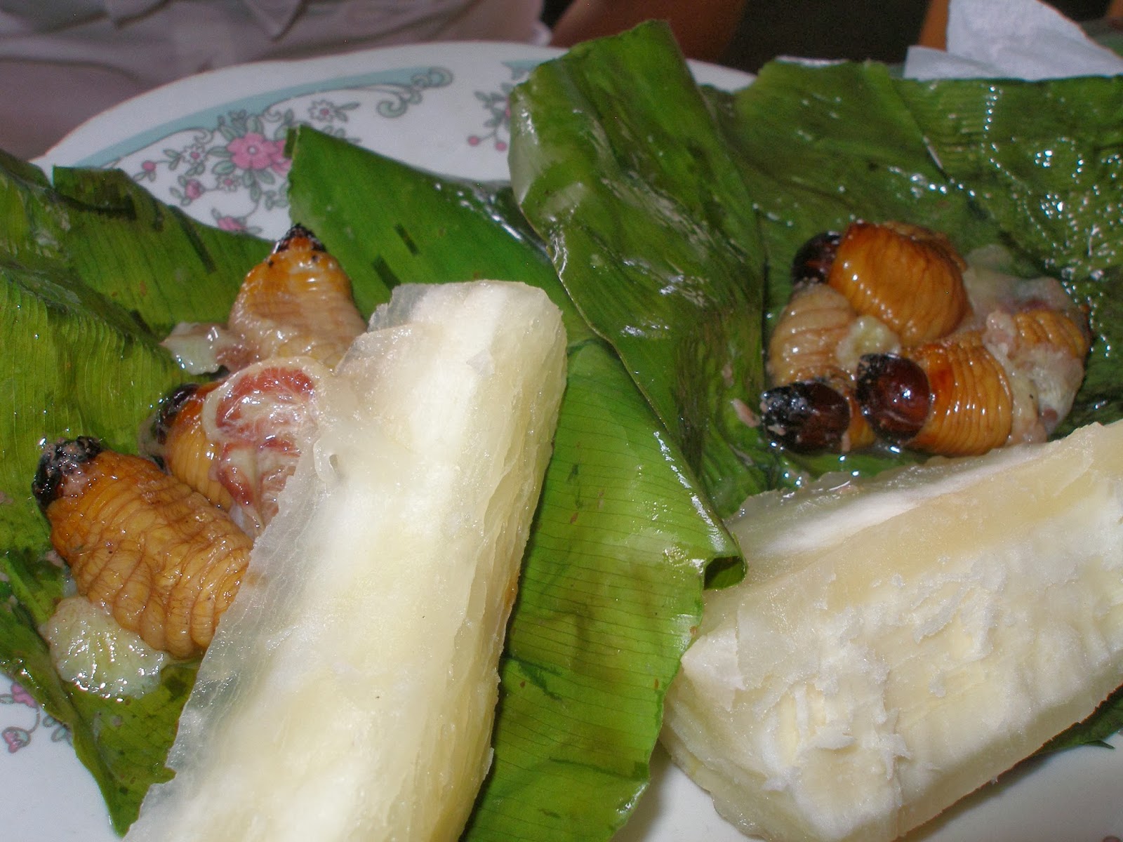 Ecuador Joannan silmin - Ecuador in my eyes: Chuntakurus in Tena, Ecuador