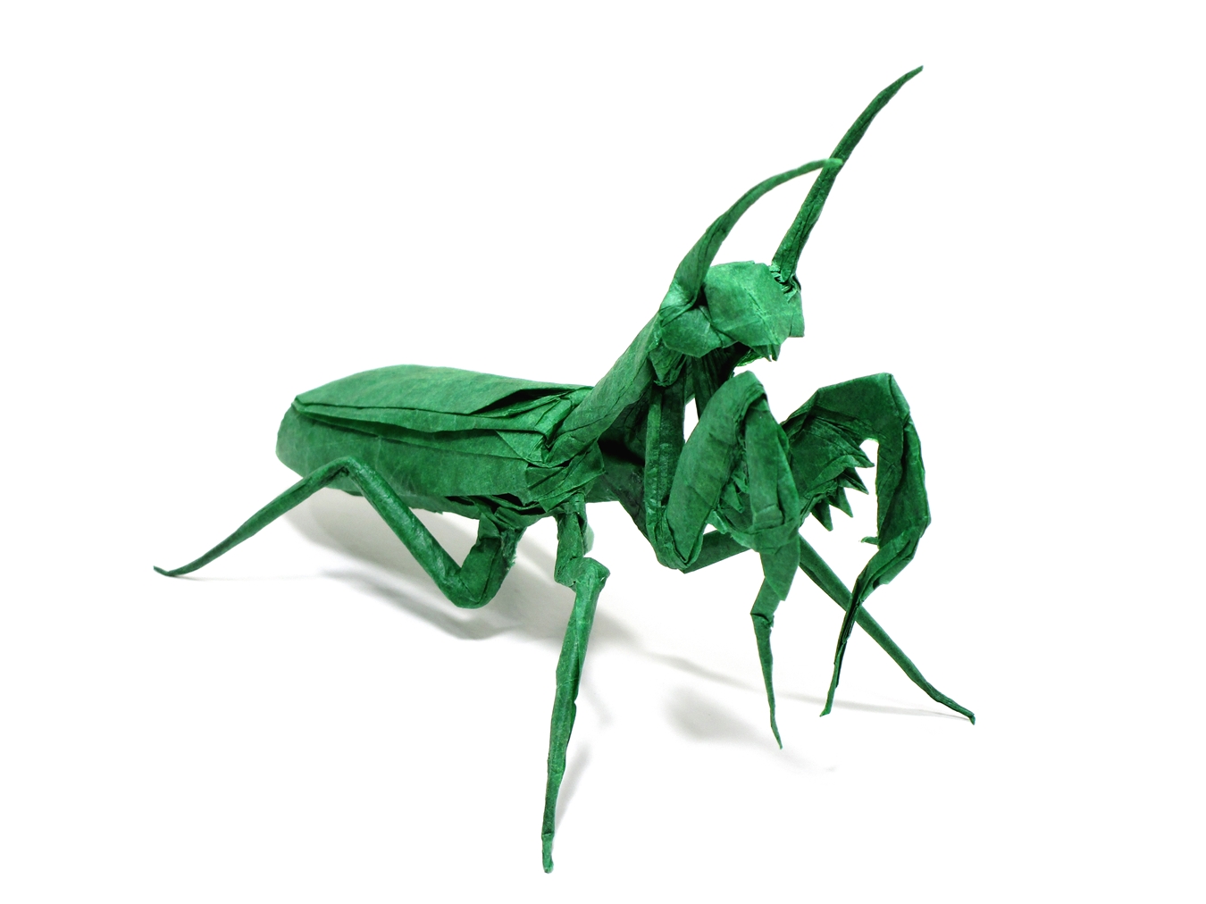 Mariano-Mi mundo el Origami: Praying Mantis