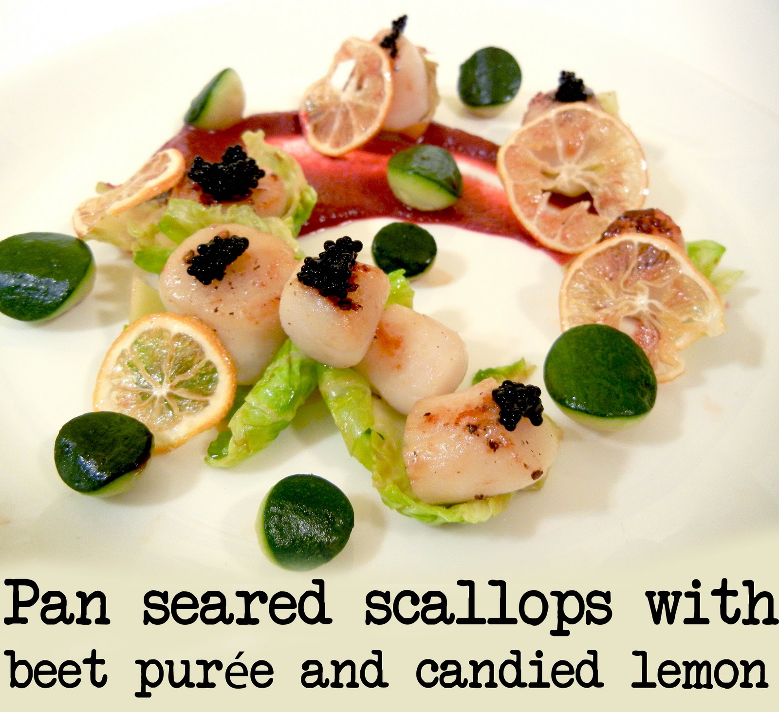 Scallops with beet purée