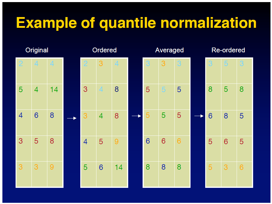 Learning Bioinformatics: Quantile Normalization