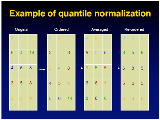 Learning Bioinformatics: Quantile Normalization