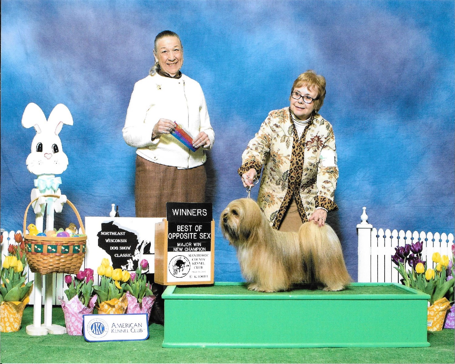 Lhasa Apso Blog: 46 Years!