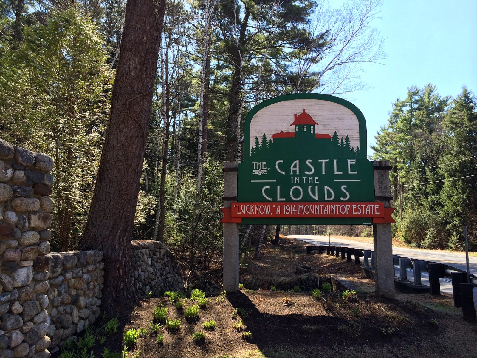 Spicebush Log: Castle in the Clouds