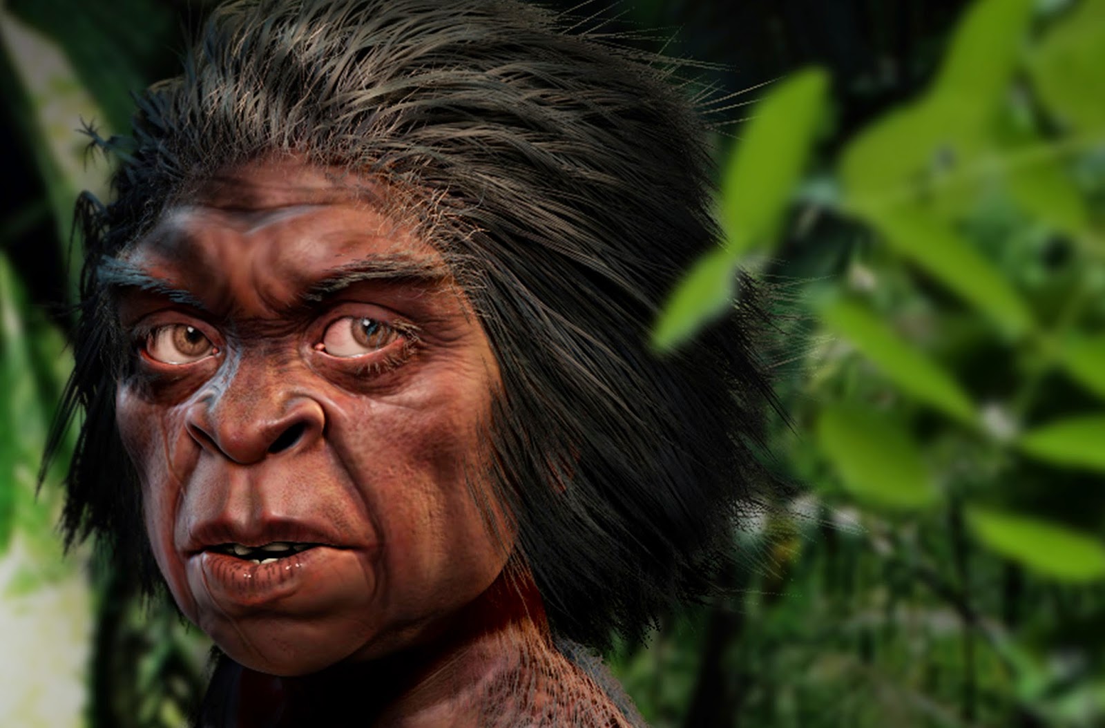 Homo floresiensis