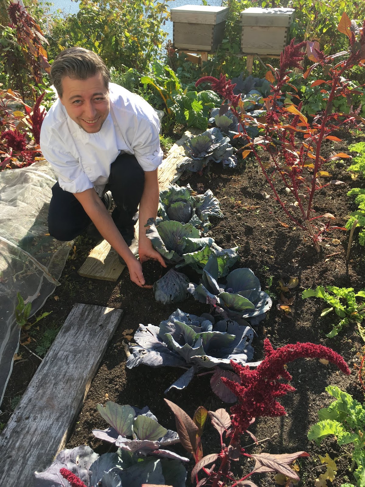 Le Compostier: City Composting in a Worm Hotel.