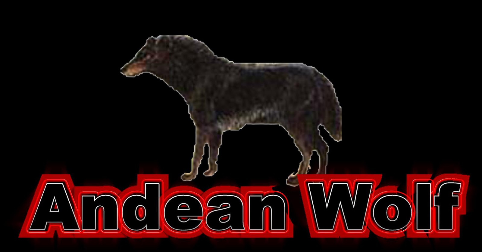 The Crypto Files - Andean Wolf ~ The Crypto Crew