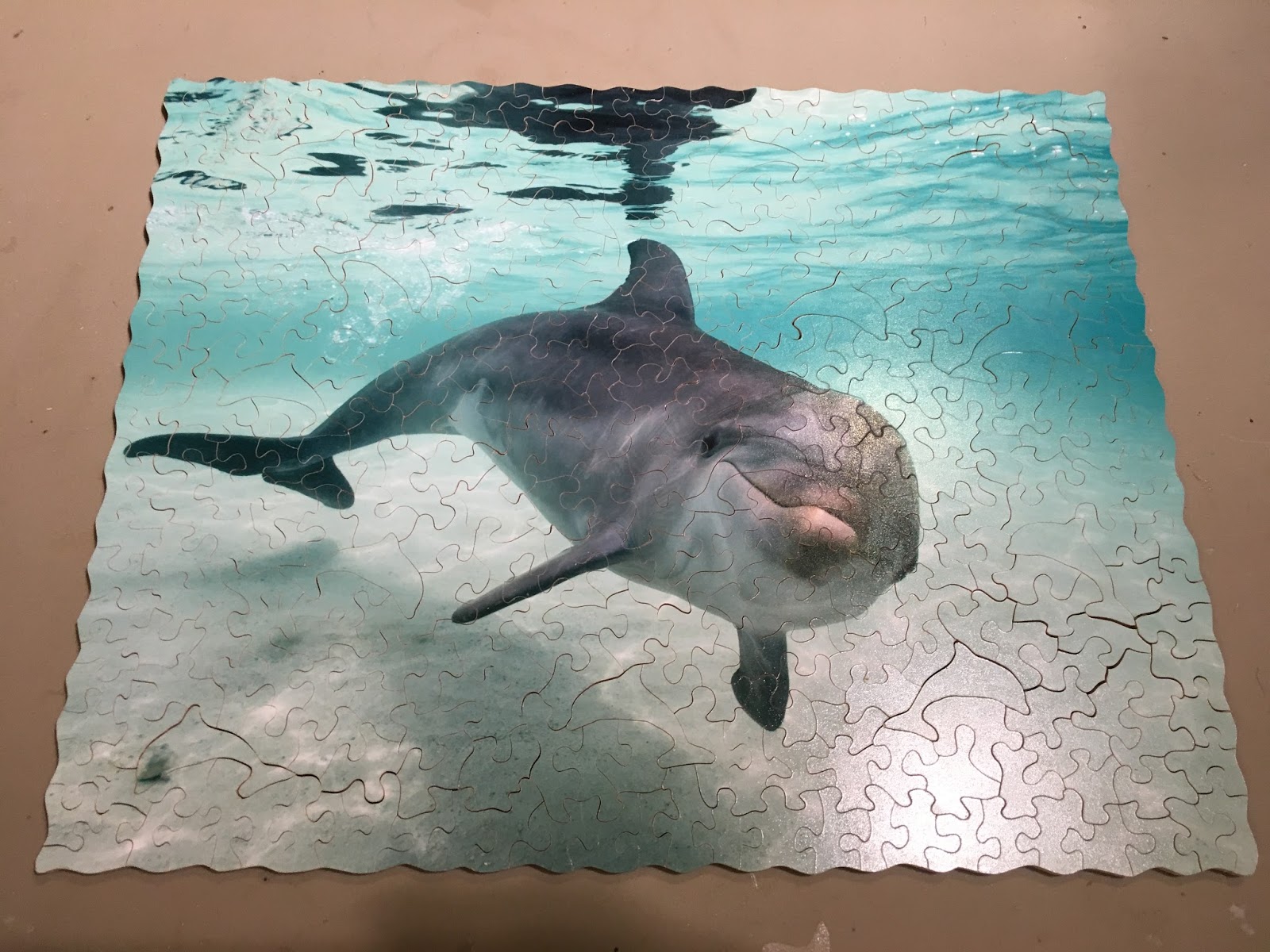 Rebecca's Wooden Jigsaw Puzzles: Bottleneck Dolphin
