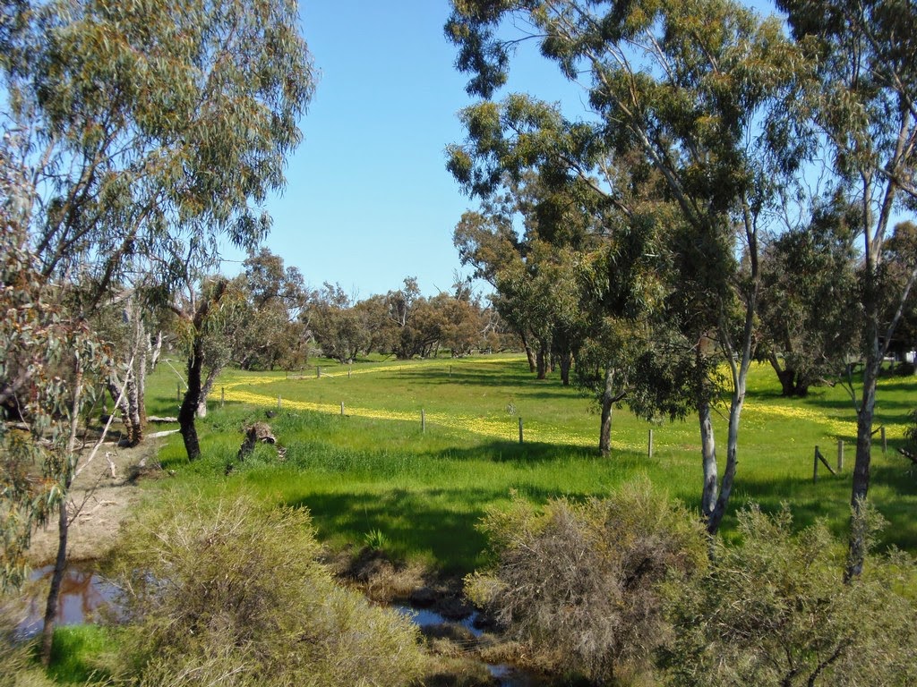 Solo Steve On The Road: PUMPHREY'S BRIDGE via POPANYINNING WA