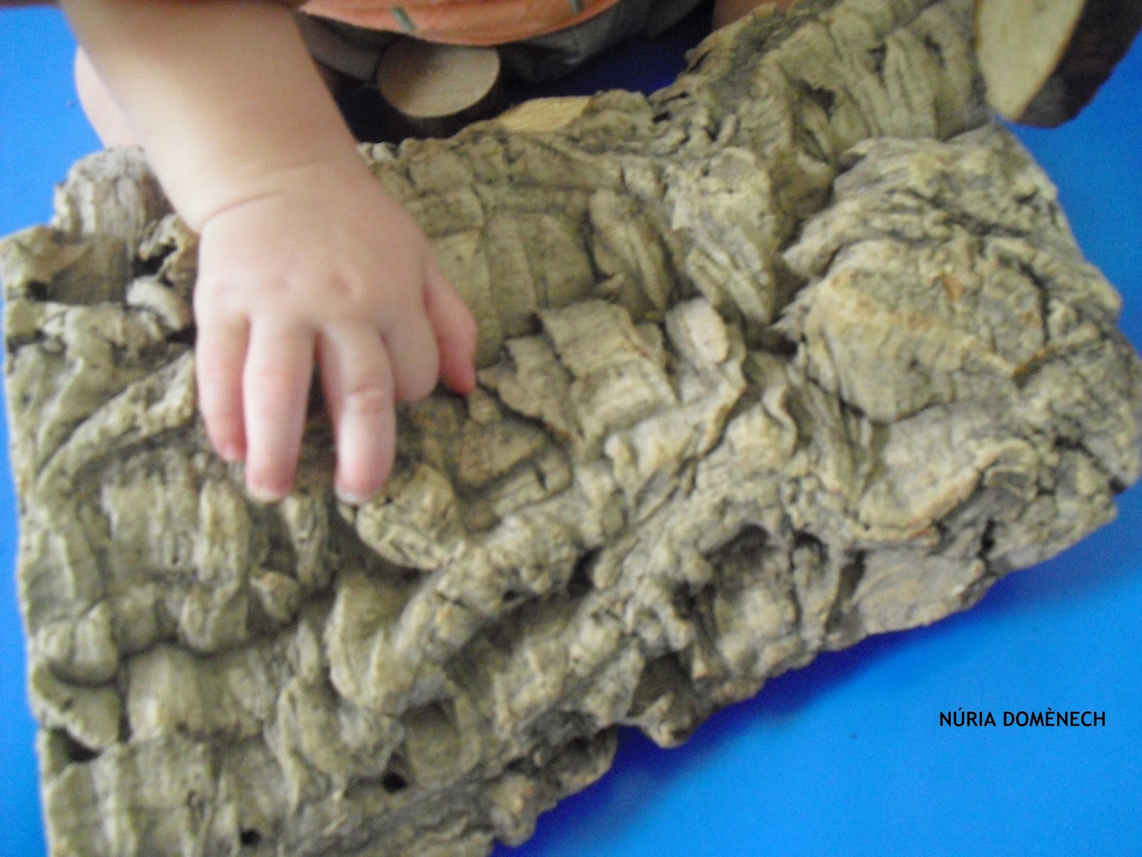 Bressol Actiu: MATERIALS NATURALS 3: SURO NATURAL I TRONCS LLIMATS