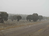 Up on Haliburton Hill: A windy descent from the high plateau