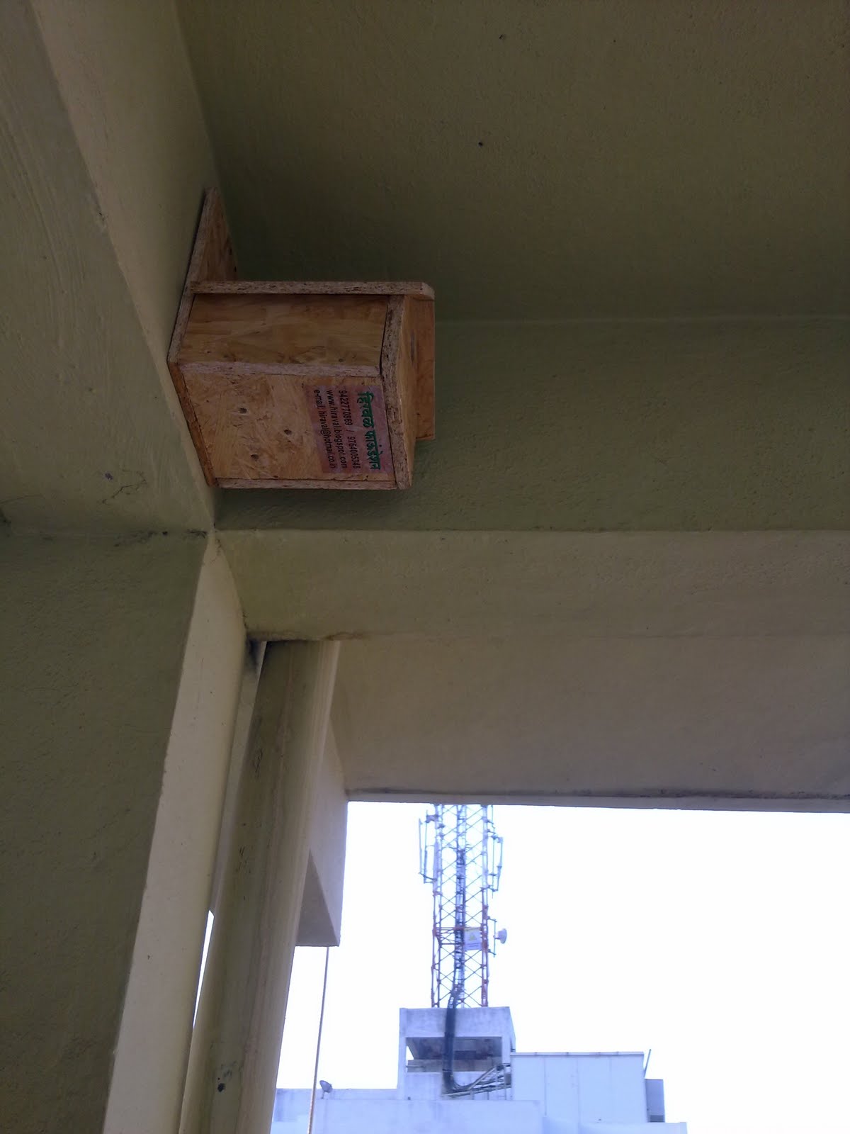 HIRVAL FOUNDATION: Save House Sparrow