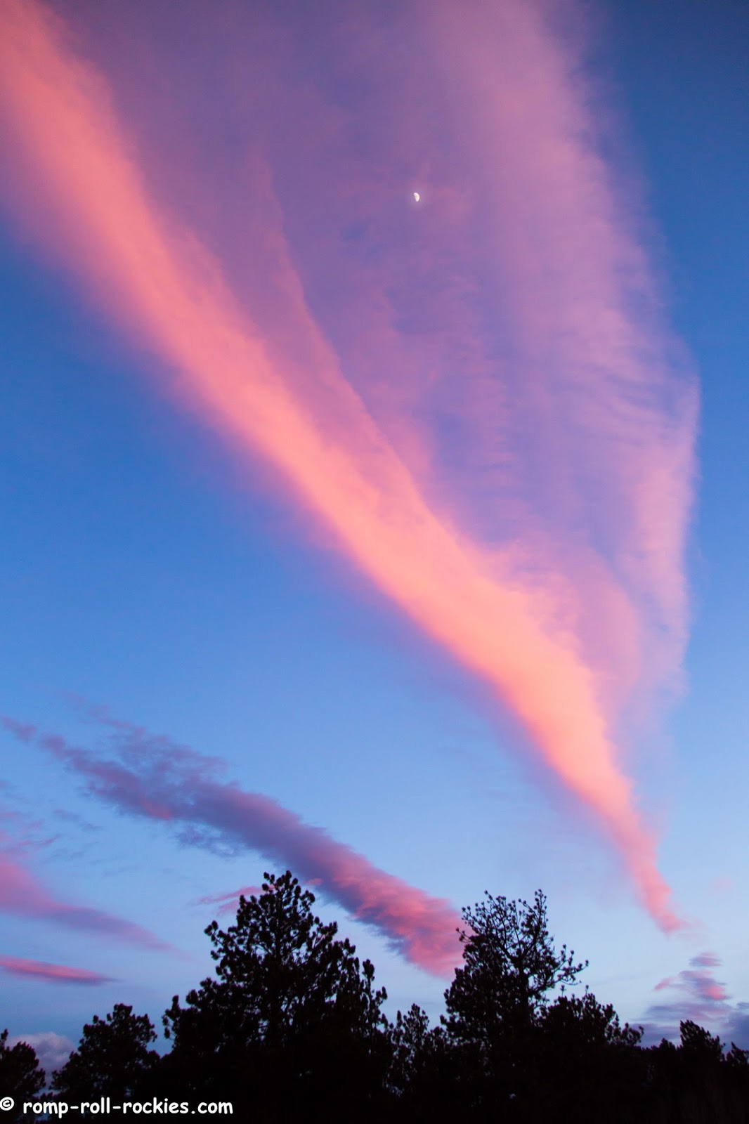 Romping and Rolling in the Rockies: Silhouette Sunday - Magenta Sky