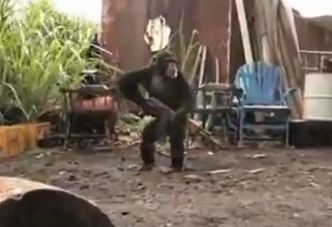 Blog misscositas: Video de chango disparando un AK 47
