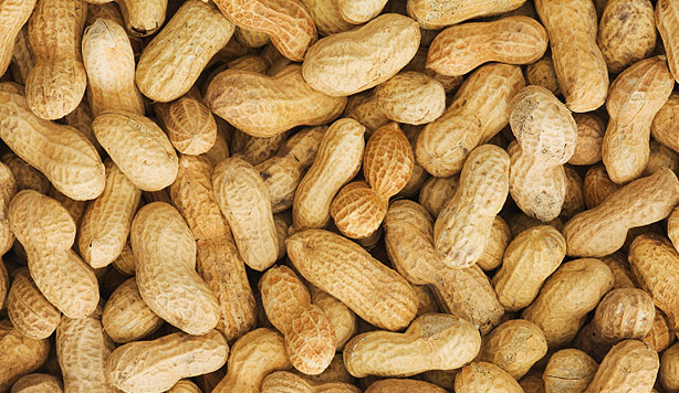 Health Nut: The Power of Peanuts - College Gloss