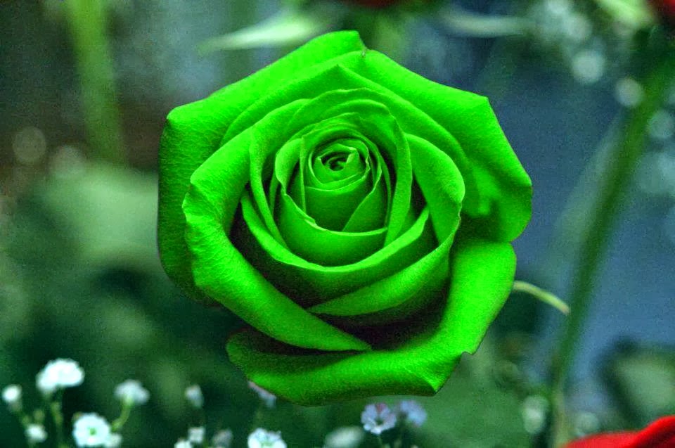 Consejos de Salud: COLOR VERDE