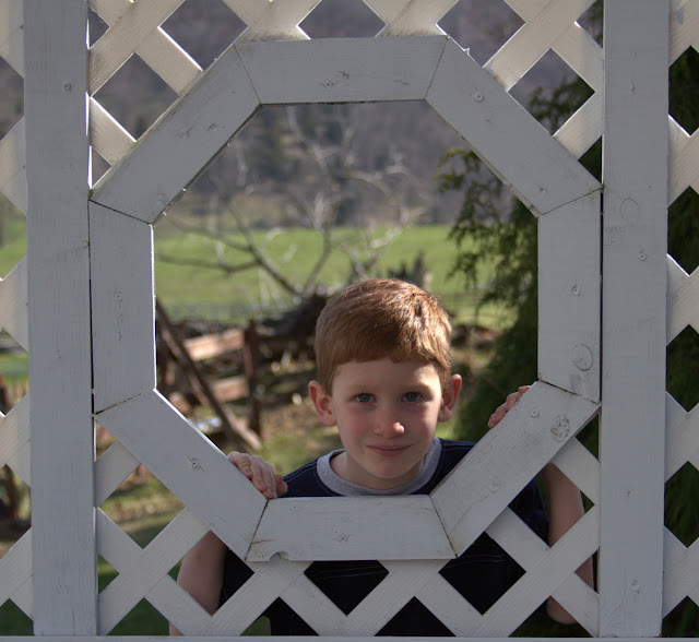 Life as this Mommy knows It: Photography Tip #7: Framing