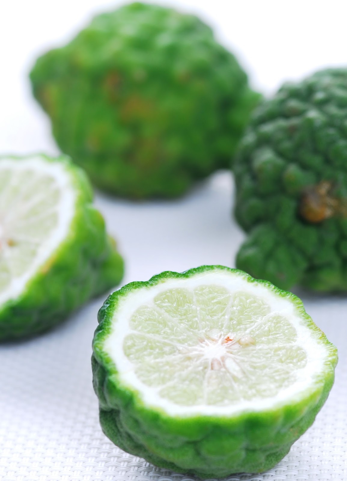 Jeruk Purut ( Citrus hystrix )