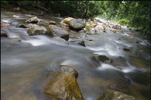 Welcome to Trivandrum District: Bonakkad / Bonacaud