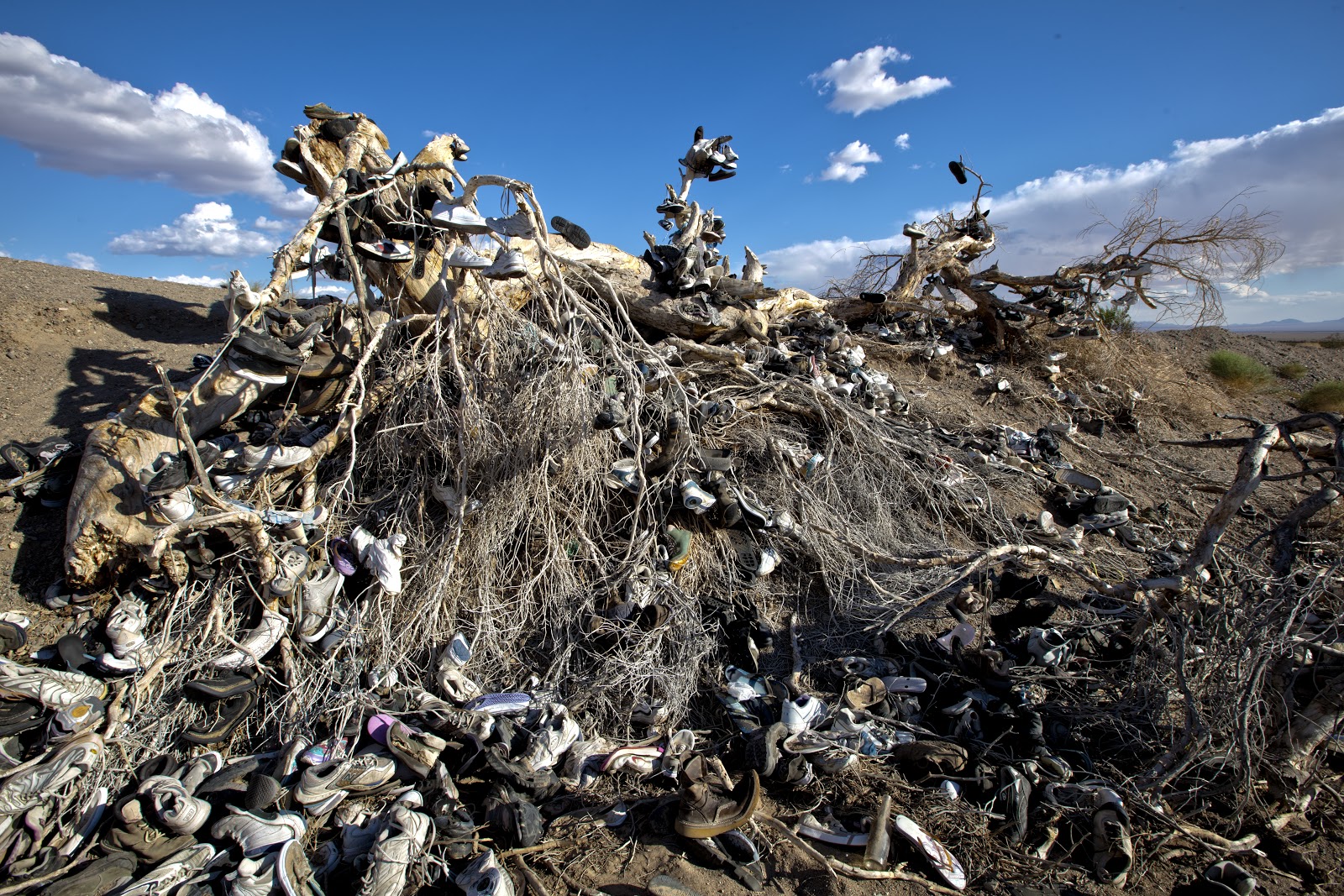 Spare Parts and Pics: The Original Desert Shoe Tree (or what's left of it!)