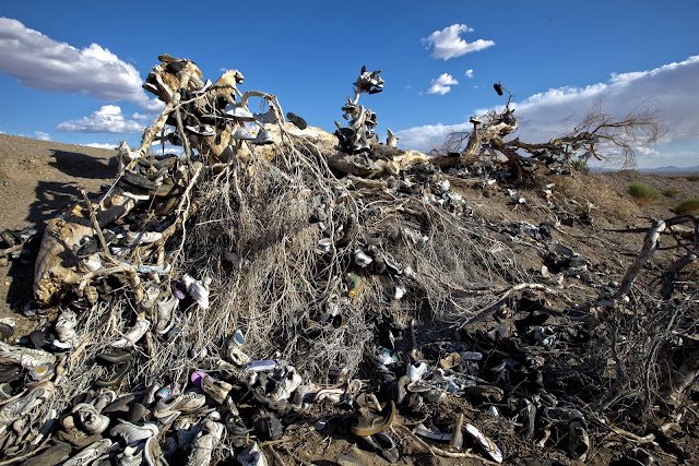 Spare Parts and Pics: The Original Desert Shoe Tree (or what's left of it!)
