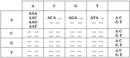 Esplorare Il DNA E Il Codice Genetico- Unità Di Apprendimento ...