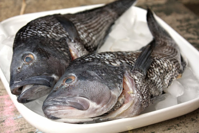 Ajme, koliko nas je - oktobar 2013. - So i biber blog