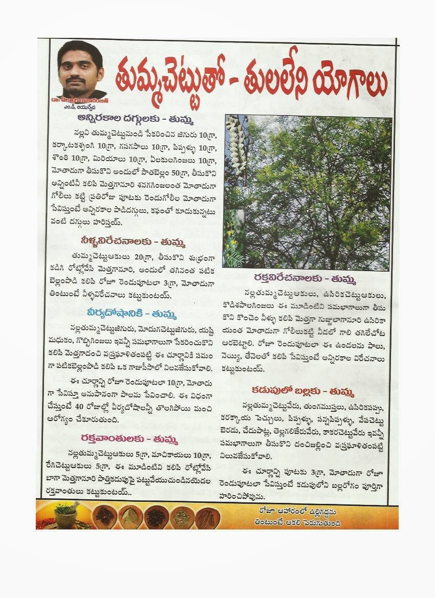 AYURVEDAM - ఆయుర్వేదం: INDIAN GUM ARABIC TREE / THUMMA CHETTU ...