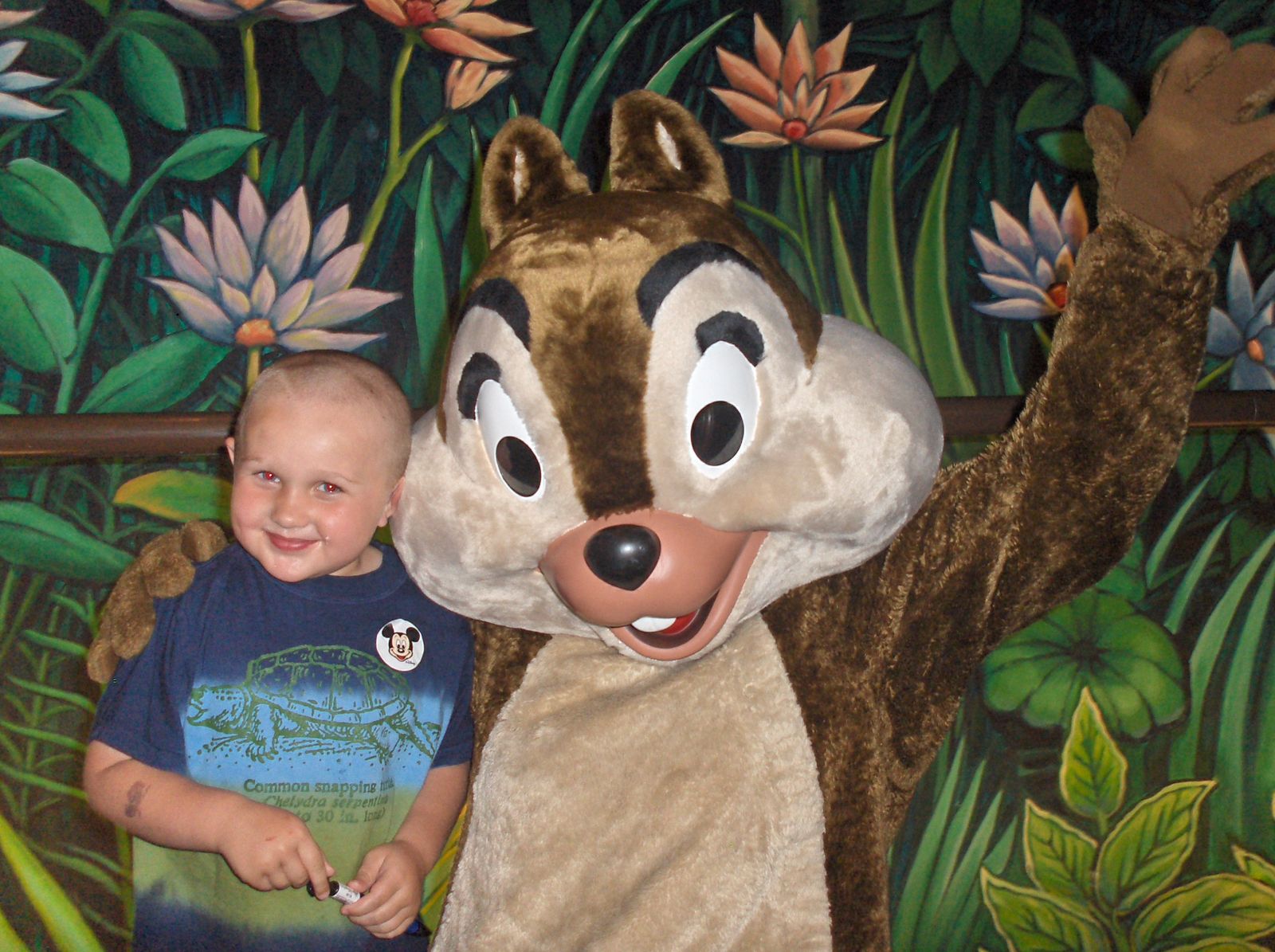 Funny Image Collection: Funny Chipmunk wallpaper funny picture & funny ...