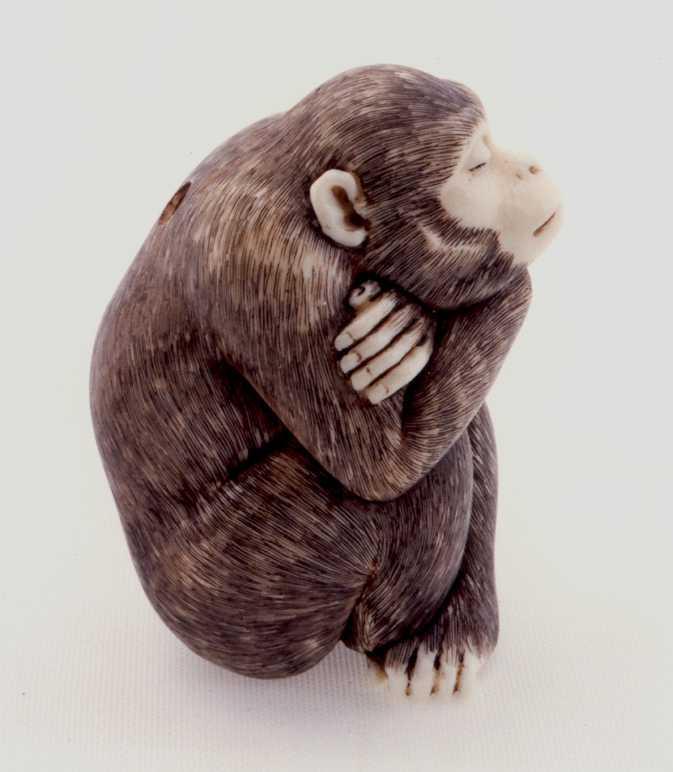 Kriptozoológia - Az állatvilág rejtélyes oldala: Hibagon - A japán ...