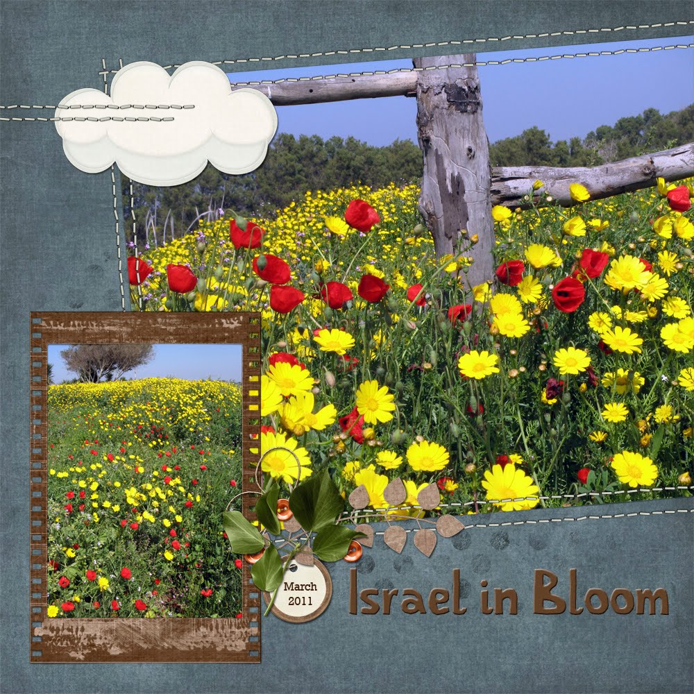 C.J.'s Scrapbook: Israel!