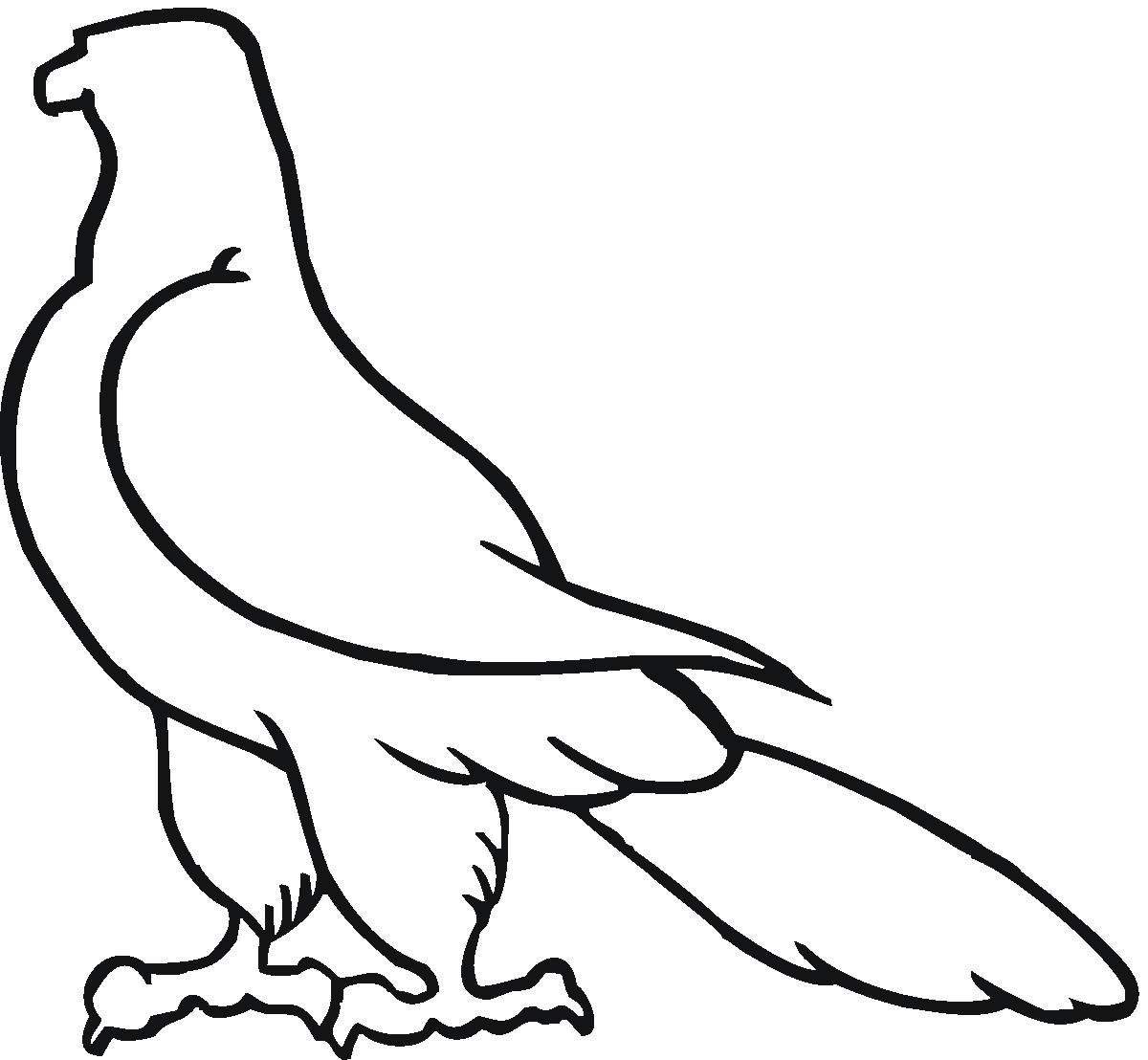 Dibujo de halcones - Imagui