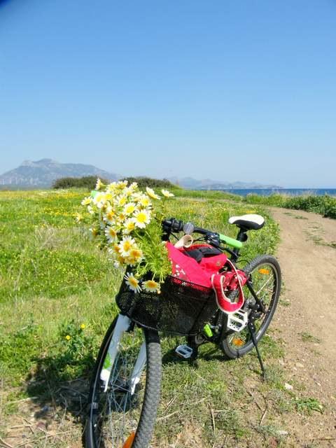 Turquoise Diaries: Weekend Wishes