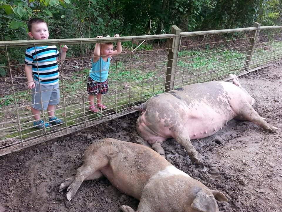 Play St. Louis: Suson Park, South St. Louis County