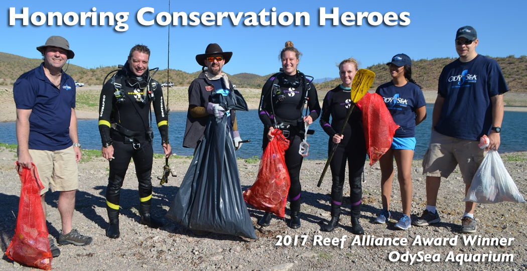 Sub Sea Systems - Our World: 2017 Reef Alliance Award Winner