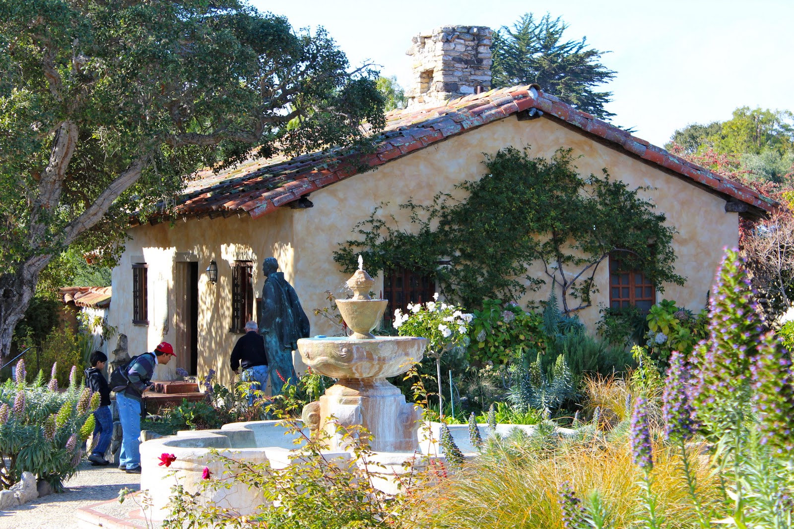 figs flowers food: CARMEL VALLEY - Mission, Mission Ranch