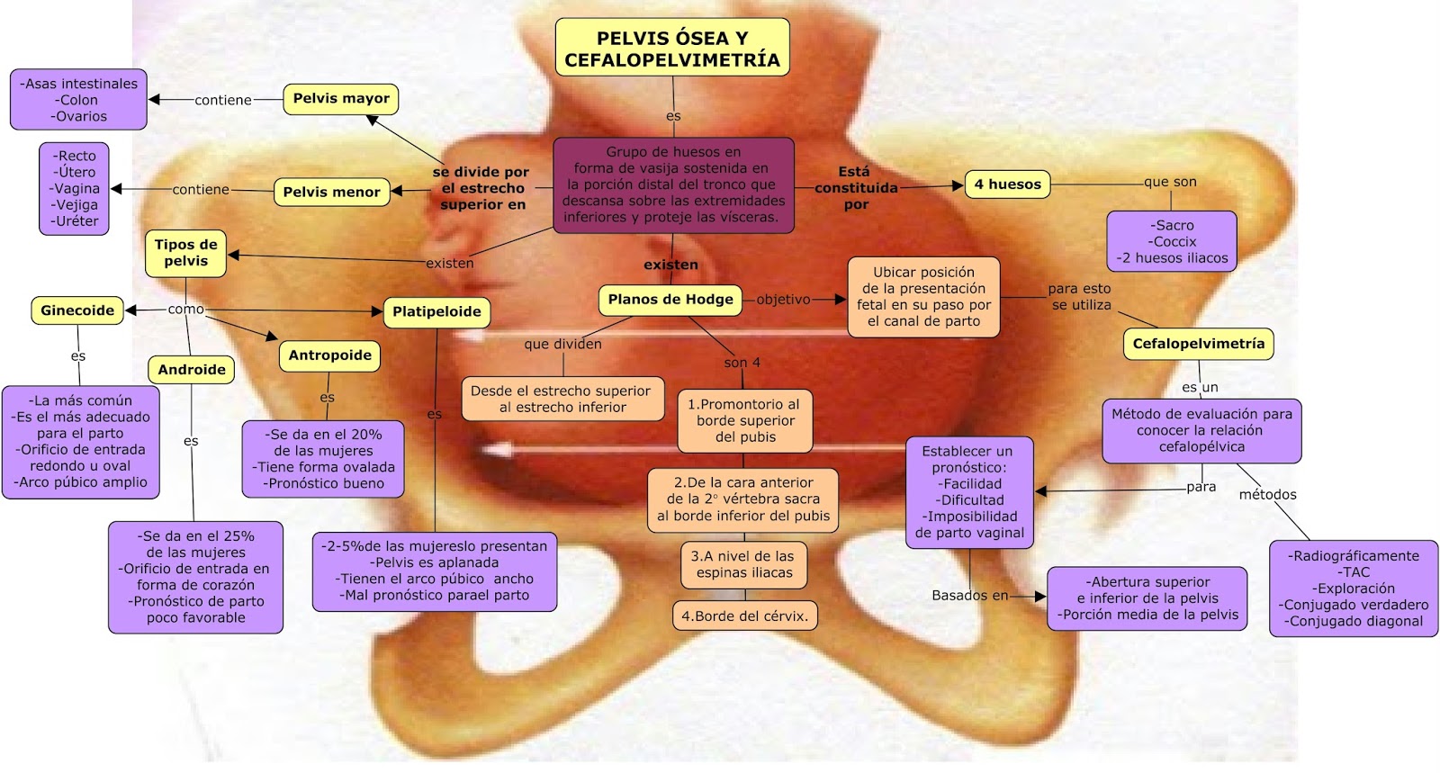 Ginecología y Obstetricia 2016 por Carmen Elena Chavez G. : 2016