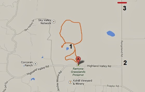 Birding Site Guide: Ramona Grasslands Preserve - Greg in San Diego