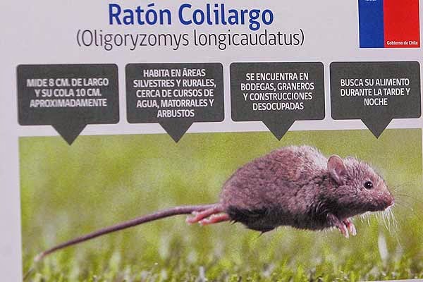 Enfermedades Infectocontagiosas: noviembre 2014