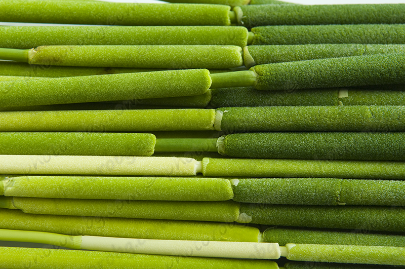 The 3 Foragers: Foraging for Wild, Natural, Organic Food: Cattail ...