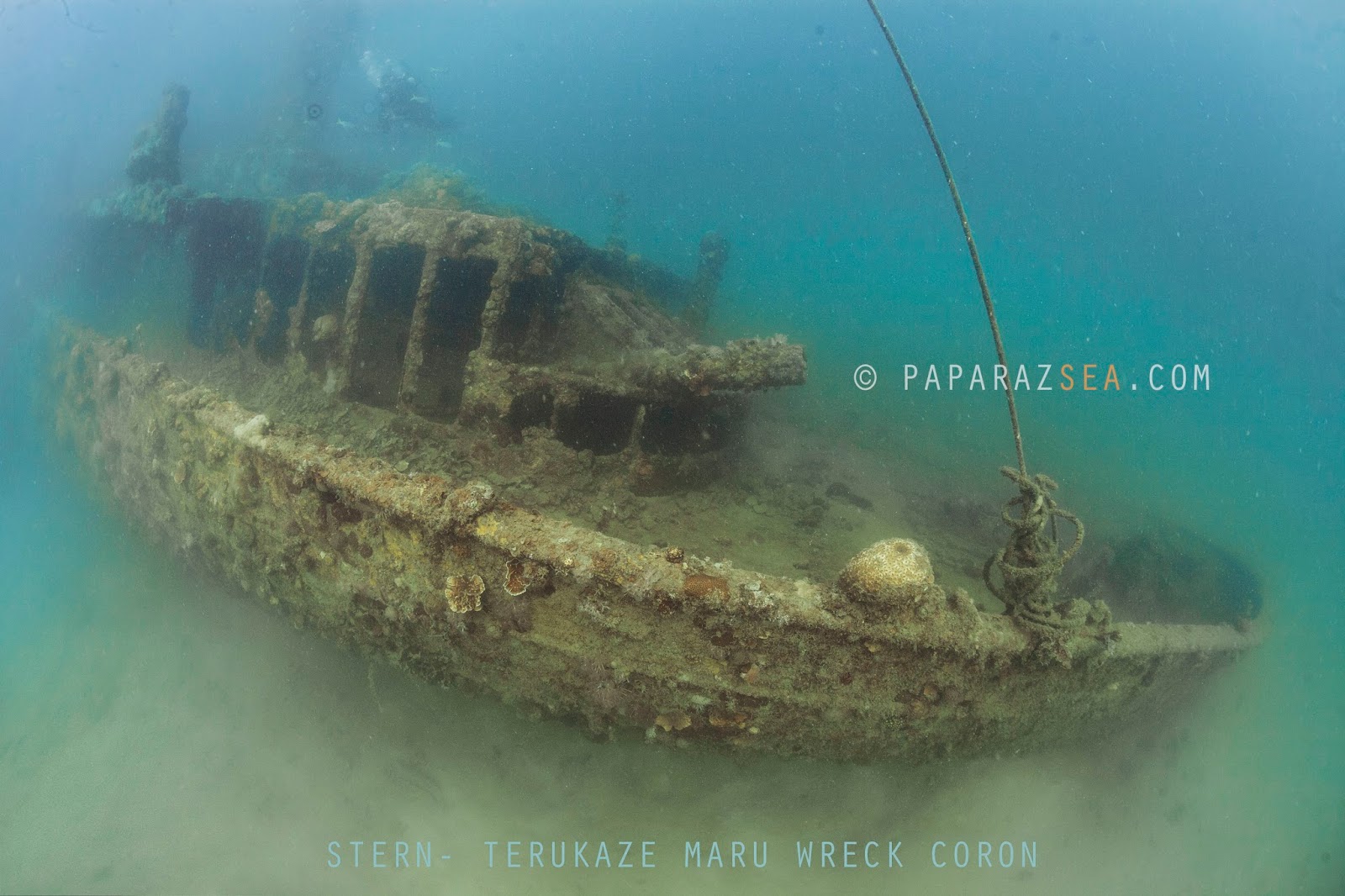 Guide to Coron Wreck Diving and Photography - PaparazSea