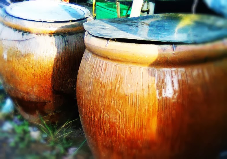 ayam tempayan - iuzira