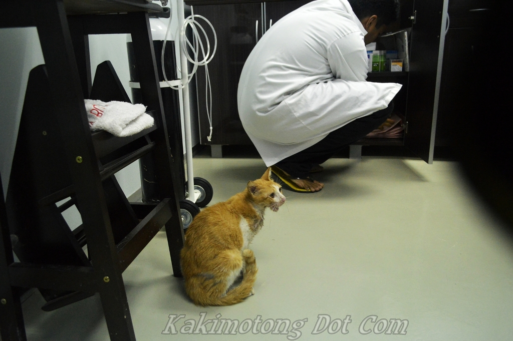 Susulan Kisah Mengenai Si Jamek Yang Telah Didera Sehingga Patah Rahangnya