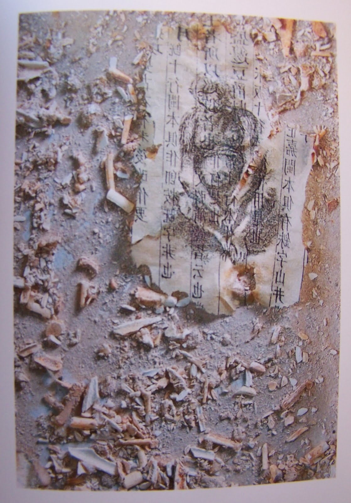 The Compass Rose: Rosamond Purcell's Bookworm