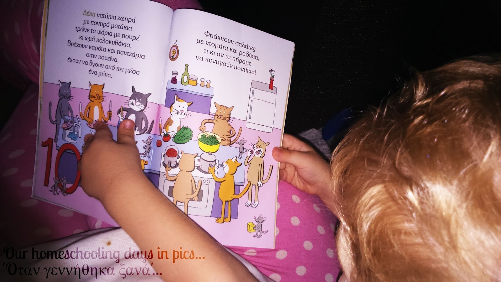 Όταν γεννήθηκα ξανά...: Ηomeschooling....