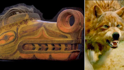 White Wolf : The Real Story of the Quileute Wolves (Video)