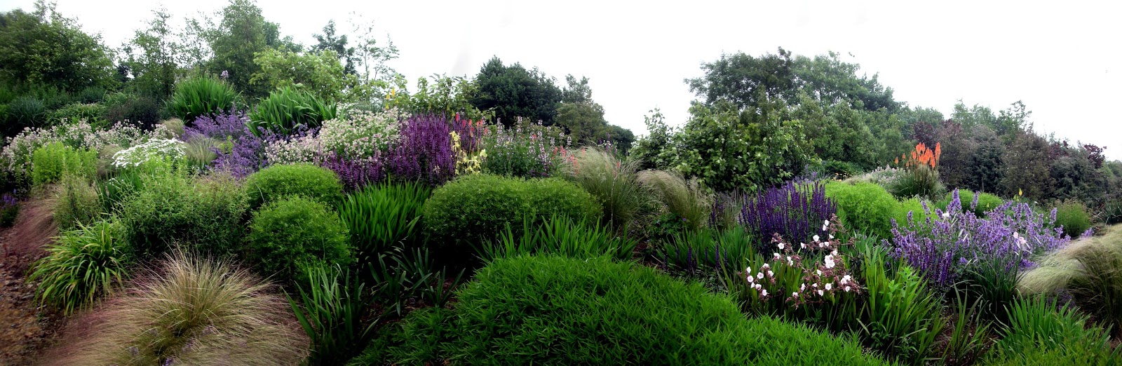 Plymouth Daily Photo: Wildside Garden, Buckland Monachorum, Devon (3)