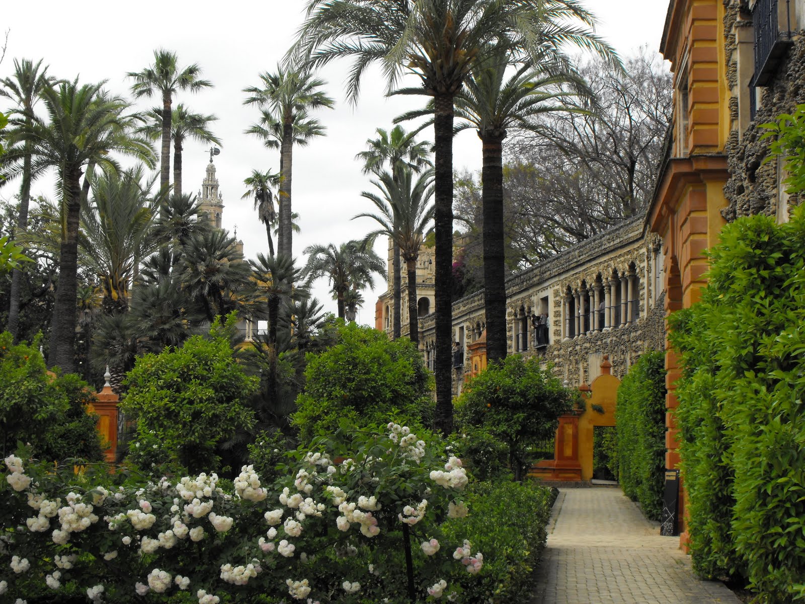 SEVILLA EN PRIMAVERA: SEVILLA EN PRIMAVERA...